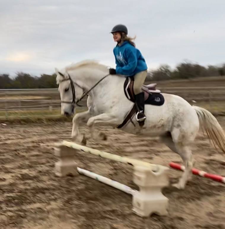 Lesson Horses – Little Apple Riders Equestrian Center