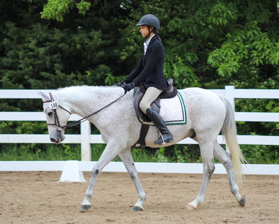 Lesson Horses – Little Apple Riders Equestrian Center